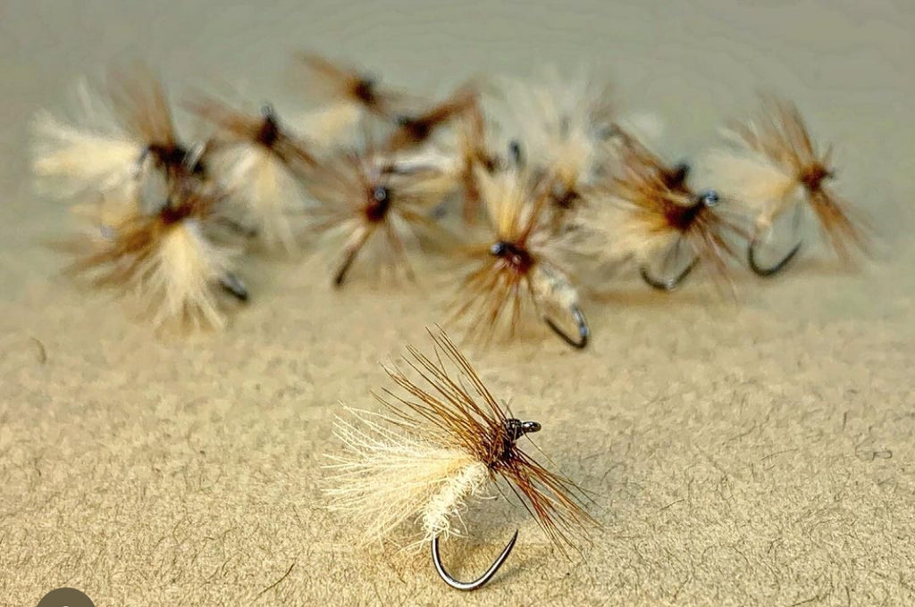 Dry Fly — Maineflyguys.com