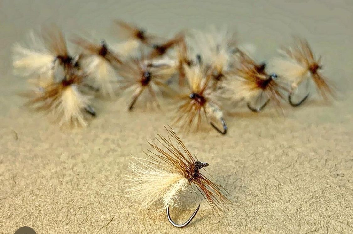 CDC Caddis — Maineflyguys.com