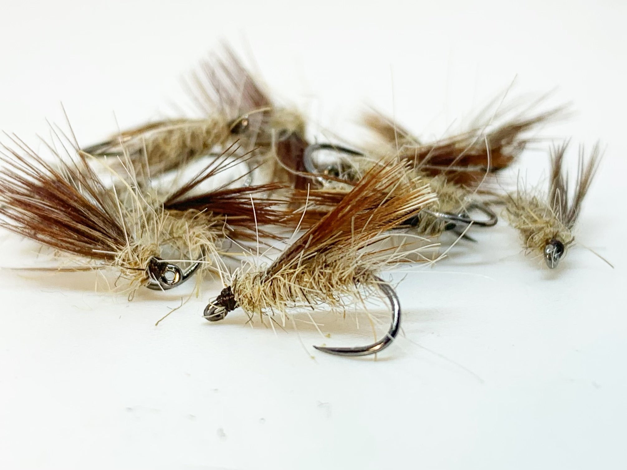 Maine Fly Guys: Equip, Educate, Conserve — Maineflyguys.com