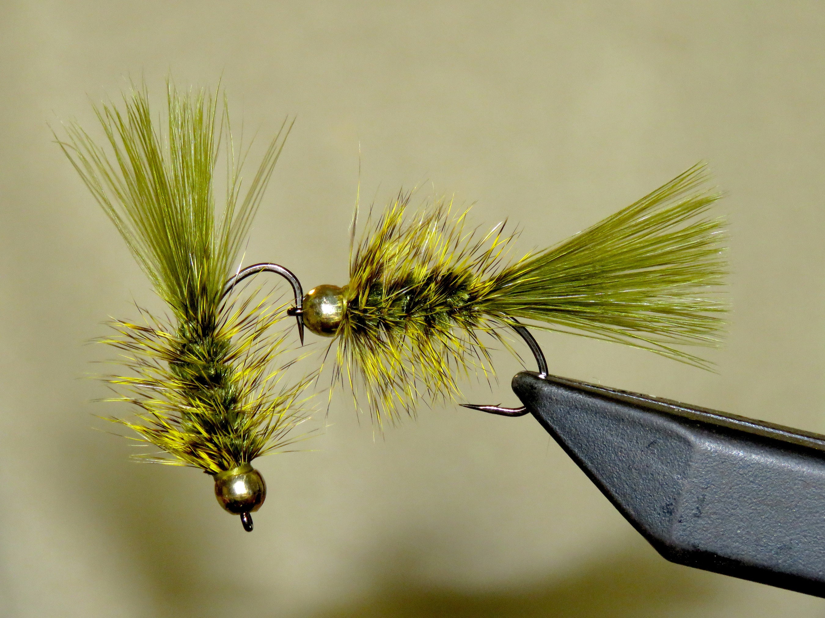 Maine Fly Guys: Equip, Educate, Conserve — Maineflyguys.com