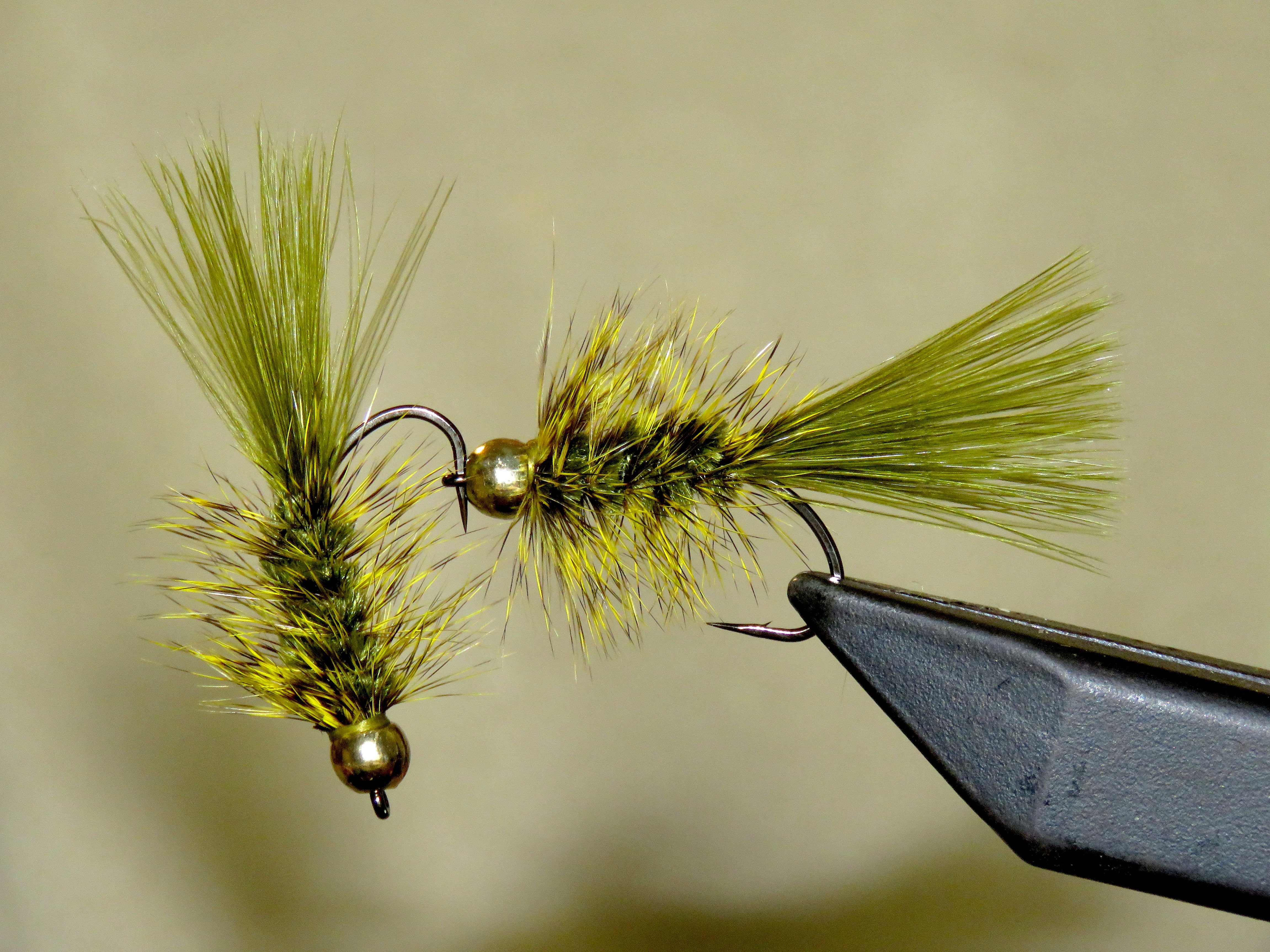 Maine Fly Guys: Equip, Educate, Conserve — Maineflyguys.com