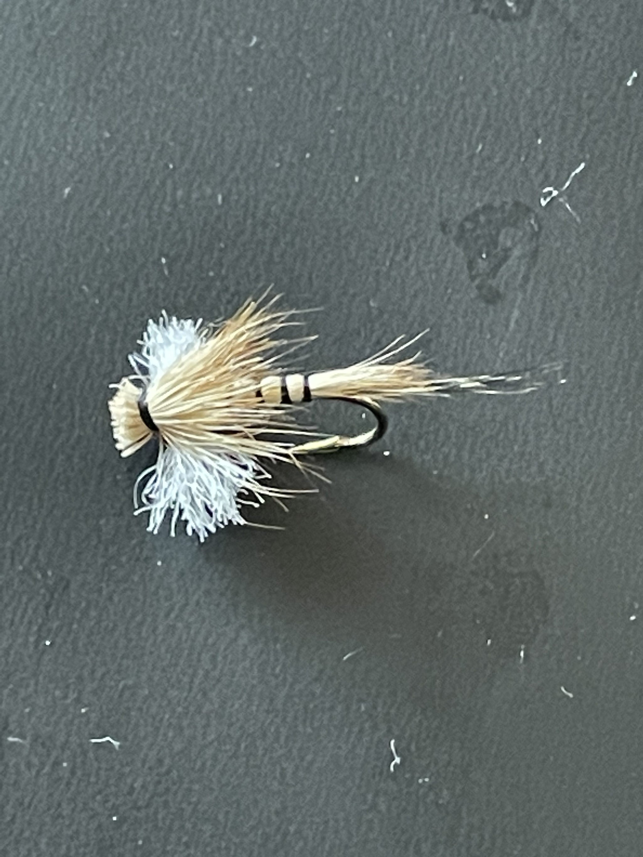 Dry Fly — Maineflyguys.com